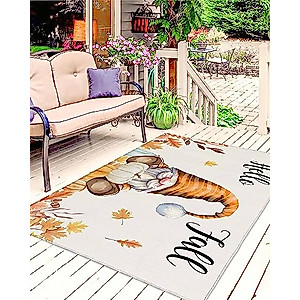 Hello Fall Gnomes Outdoor Rug for Patio/Deck/Porch, Non-Slip Large Area Rug 6 x 9 Ft, Thanksgiving Pumpkin Maple Leaf Indoor Outdoor Rugs Washable Area Rugs, Reversible Camping Rug Carpet Runner
