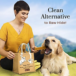 Dogsee Himalayan Yak Cheese Dental Chews for Dogs Bulk Pack 2lb (Medium - 12 Chews) | 100% Natural | Keep Dogs Busy for Long | Healthy Yak Chews