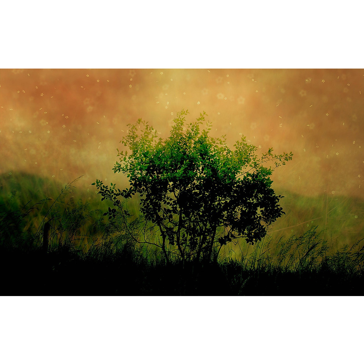 Ubuntu 10.04 64 Bit Intel I386 Install Boot ISO Lucid Lynx LTS