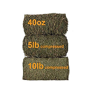 Grandpa's Best Timothy Hay Bale, 5lbs