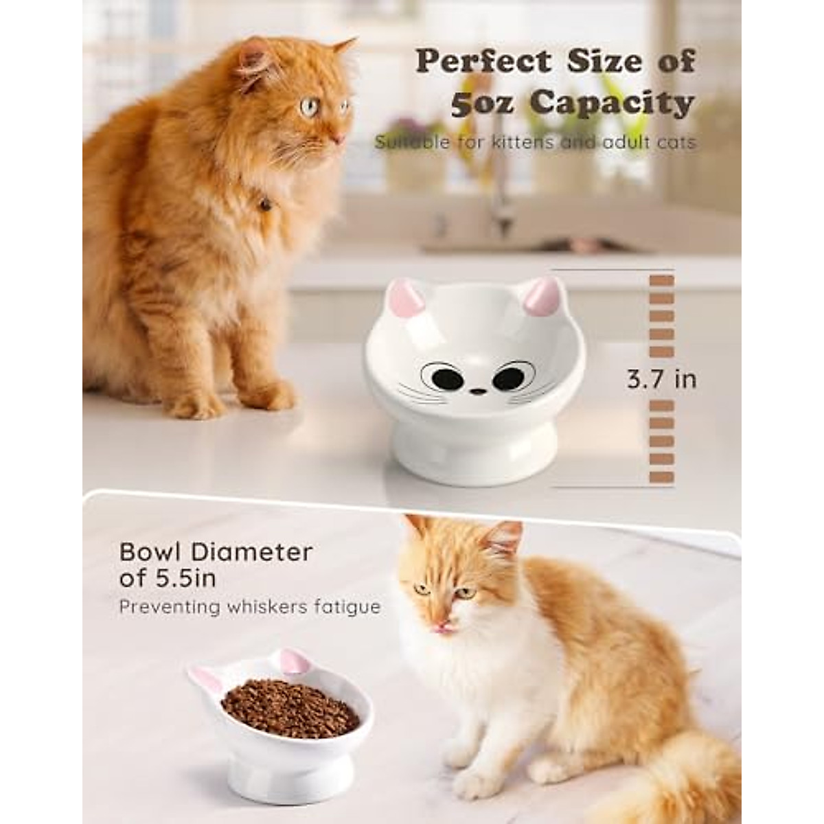 Raised Cat Food Bowl Ceramic 15° Tilted Cat Food Bowls Protect Cat's Spine Anti Vomiting Backflow Prevention Cat Bowls for Adult Cats, Kitten, and Small Dogs, Pink