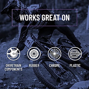 WD-40 Specialist Bike Degreaser , 10 OZ