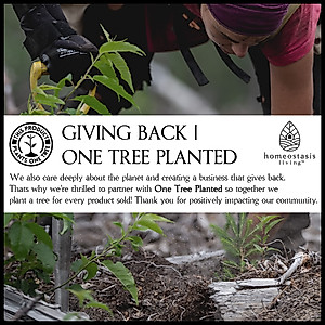 Homeostasis Living | Bamboo Paper Towel Holder Countertop | Natural Wood Paper Towel Holder, Standing Paper Towel Dispenser, Napkin Holder, Kitchen Towel Holder, Reusable Paper Towels Stand Dispenser