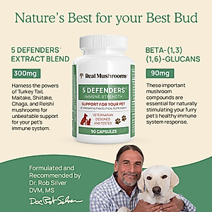 Real Mushrooms Immune Pet Chews (60ct) & 5 Defenders Pet Support (90ct) - Bundle for Immune Strength - Chaga, Shiitake, Reishi, Turkey Tail, Maitake, Ashwagandha, Astragalus & More - Vegan, Non-GMO