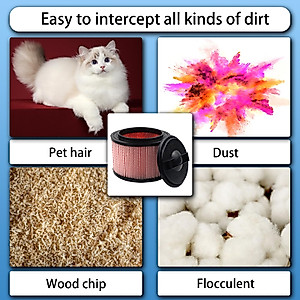 Aolleteau Fine Dust Cartridge Filter Compatible with Vacmaster VF408, Vacmaster VF410P, Wet/Dry Vac Beast VFB511B 0201 and Cleva Industrial VF408B (1 Pack Vacuum Filter and 1 Pack Foam Filter)