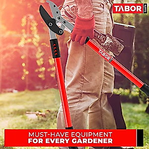 TABOR TOOLS GG12A Anvil Lopper with Compound Action, 30 Inch Tree Trimmer, Branch Cutter with ⌀ 2 Inch Cutting Capacity, Chops Thick Branches with Ease.