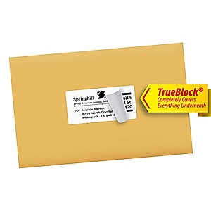 Avery TrueBlock Printable Shipping Labels with Sure Feed, 2" x 4" Customizable Stickers, White, 1,250 Blank Mailing Labels Total (5-Pack of 8163)