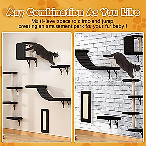 COZIWOW 5 Pcs Wall-Mounted Cat Climber Set with Cat Shelves and Perches, Ladder, Cat Condo House, Scratching Board and Cat Tree, Cat Wall Shelves Furniture, Wood Indoor,Black