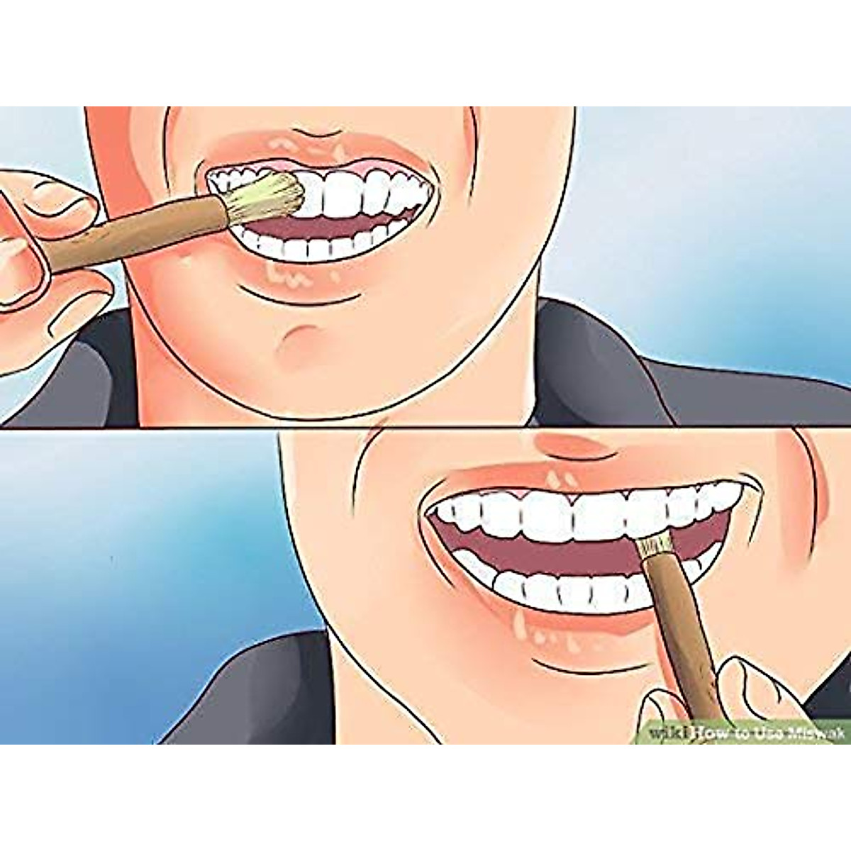 30 Pcs Al Falah Siwak Meswak Miswak Miswak Arak Peelu Al Falah Chewing Stick With Natural Flavor Organic Herbal Toothbrush Vacuum Sealed Breath Freshener Thirty Tooth Sticks Plus 1oz / 28 gm Cloves