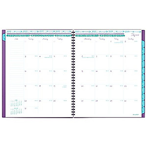 AT-A-GLANCE Academic Year Monthly Planner/Appointment Book, July 2016 - June 2017, 8-1/2"x11", Design Selected for You May Vary (183-900A)