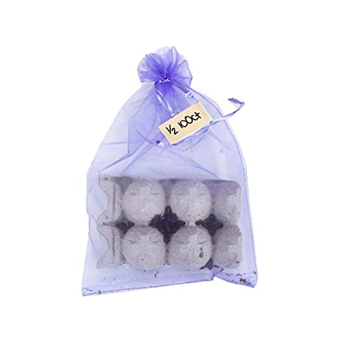 Josh's Frogs 1/2" - 3/4" Medium Orange Head Roaches (100 Count)