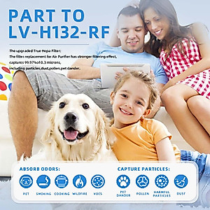 2 pack lv-h132 Replacement Filter Compatible with Levoit H132 Air Purifier,H13 True HEPA Filter,Activated Carbon Filter