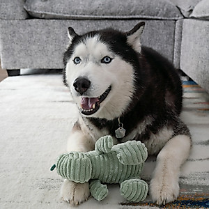 MORELIFE Naughty Dogs Dinos Plush Squeaky Toy | for Small Medium Large Dogs, All Dog Breeds, Green