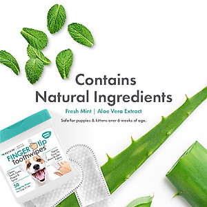 Petkin Fingertip Tooth Wipes for Dogs and Cats, 50 Finger Wipes - Slip-On, Snug Fit, Micro-Bristle Fabric - Cleans Teeth, Gums, Plaque & Tartar - Convenient, Ideal for Home and Travel - Fresh Mint