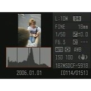 Sony A100 Digital Camera Training Dvds