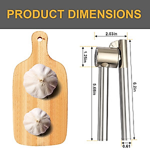 Garlic Press, 304 Stainless Steel Garlic Mincer & Crusher, Heavy Duty, Easy Squeeze, Rust Proof, Easy Clean