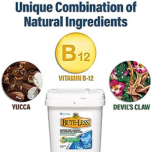 Bute-Less Comfort & Recovery Supplement Pellets, Healthy Inflammatory Response, 5 lb / 80 Day Supply