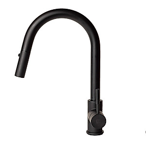 ZLINE Arthur Kitchen Faucet (FPTB-MB)