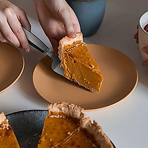 2 Pieces Stainless Steel Pie Server Set Cake Cutter Serrated Spatula Pizza Tart Dessert Slicer for Cutting and Serving Desserts Brownies Lasagna