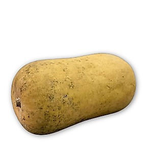 Hand-made Palm Wine Cup | Igbo Tribe Palm Wine Cup, Hand-Calved African Wine Cup (Size 5")