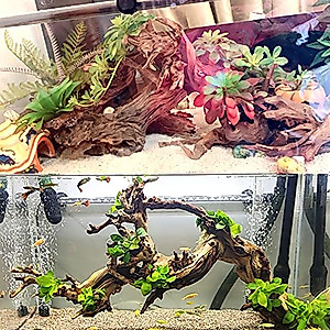 Hamiledyi Reptile Driftwood Decoration Natural Coral Driftwood Branches for Aquarium Reptiles Trunk Log Ornament Bendable Jungle Climbing Vines Decor for Bearded Dragon Lizad Amphibian Fish Tank