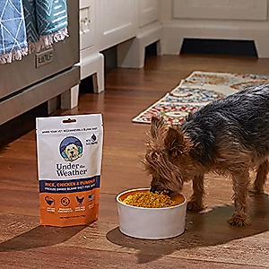 Under the Weather Bland Diet for Dogs | Easy to Digest for Sick Dogs |Always Be Ready | Contains Electrolytes - All Natural Freeze Dried 100% Human Grade Meats | 2 Pack - Rice, Chicken & Pumpkin - 6oz