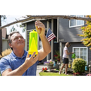 RESCUE! Yellowjacket Attractant – 4 Week Supply - 2 Pack