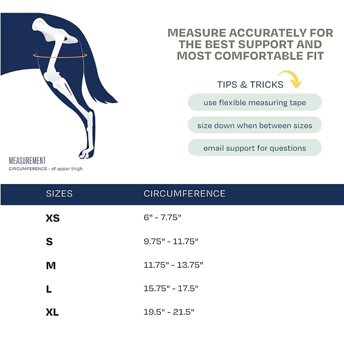 Balto Life Hip Dysplasia Brace – Dog Hip Support Harness – Hind End Adjustable Compression Brace - Distribute Weight Evenly Helps Prevent New Injuries – Rear Support Aide (Medium)