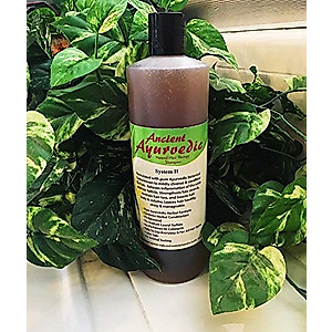 Ancient Ayurvedic Herbal Hair Therapy Shampoo- System II