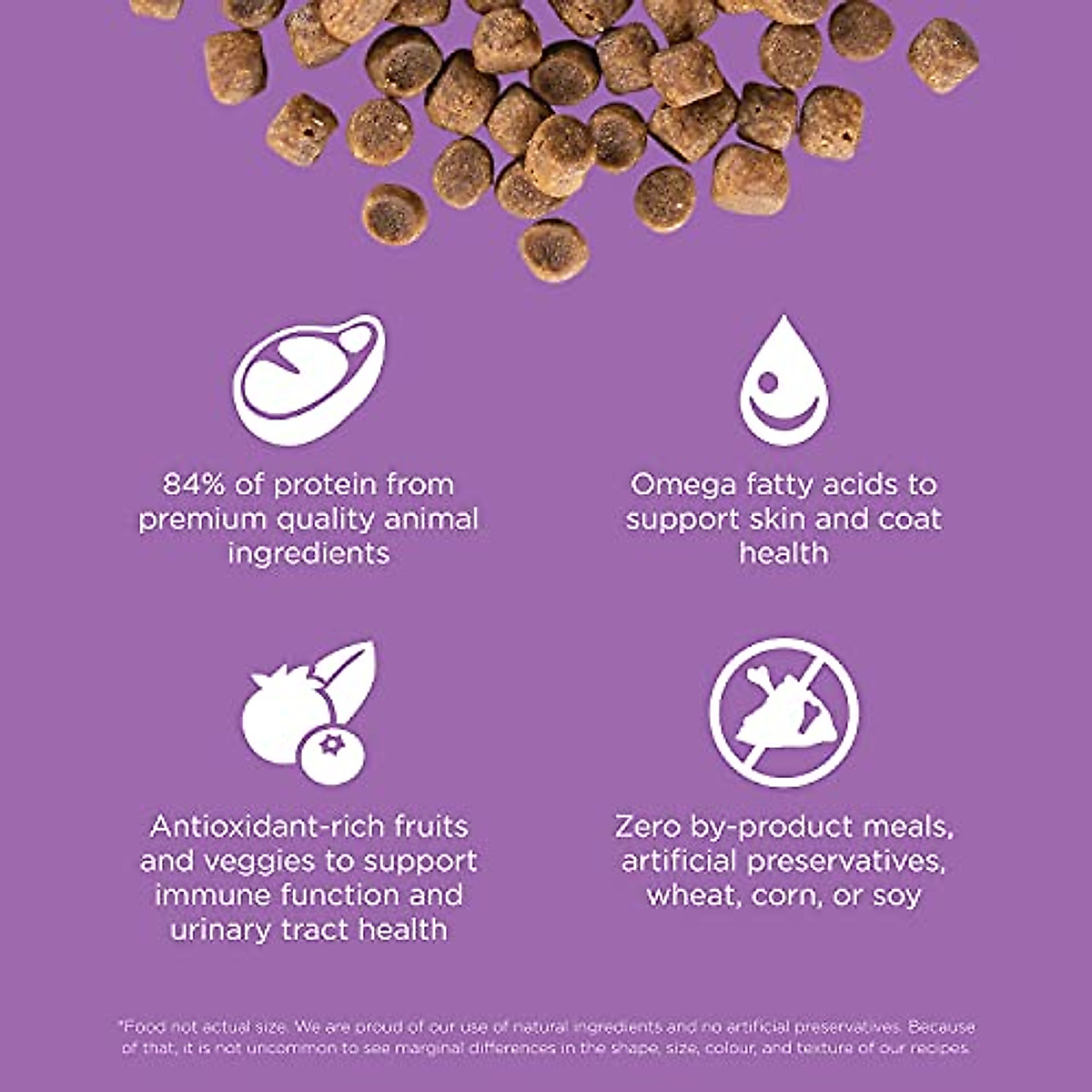 GO! SOLUTIONS Carnivore Grain Free Dry Cat Food, 3 lb - Chicken, Turkey + Duck Recipe - Protein Rich Dry Cat Food - Complete + Balanced Nutrition for All Life Stages