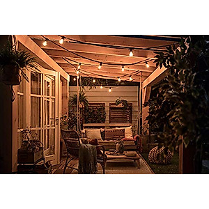 Philips LED Classic Glass Dimmable G16.5 Light Bulb: 350-Lumen, 2700-Kelvin, 3.8 Watt, E12 Base, Warm Glow, 8-Pack