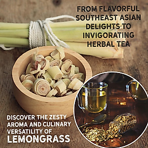 Live Lemongrass Plants (2-Pack); Each 4-8 Inches, in Nursery Pots, Culinary and Aromatherapy Herb Indoor/Outdoor Container Plants