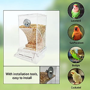 Baeluny No Mess Automatic Bird Feeders Transparent Parakeet Food Seed Feeders Acrylic Parrot Food Container Accessories Suitable for Parrot Cockatoo Canary Lovebird and Small Birds