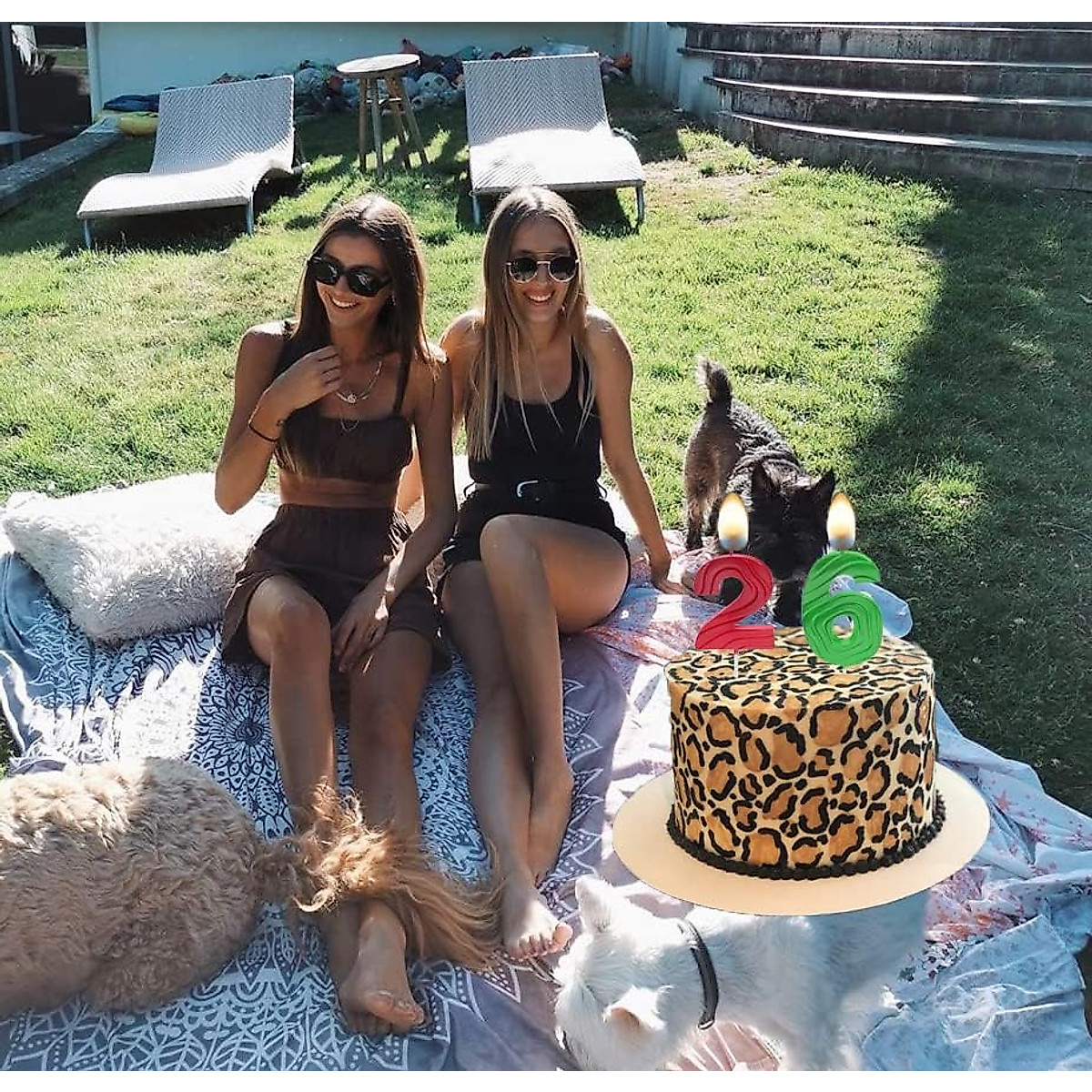 2.76inch terraced Fields Shape Number 6 Green Candles, Green 6 Candles/Cake Toppers for Birthday, Wedding, Baby Shower, Anniversary Decorating and Celebrating for Adults/Kids Party(Green 6)