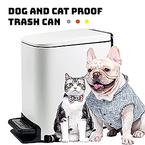 JACY&Co Small Bathroom Trash Can with Lid Soft Close, 6 Liter / 1.6 Gallon Stainless Steel Garbage Can with Removable Inner Wastebasket, Anti-Fingerprint Finish(White)