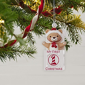 Hallmark Keepsake 2019 Year Dated Baby My First Christmas Jack-in-The-Box Bear Ornament,