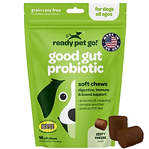 Probiotic Chews for Dogs Gut Health | Tasty Pre and Probiotics for Dogs Digestive Health with Pumpkin Dog Probiotics and Digestive Enzymes | NASC Certified & Made in The USA | 90 Chews