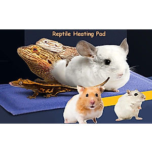 Small Reptile Heating Pad,6x3 inch USB Reptile Heat Pad with 3 Level Adjustable Function USB Heating Pad Pet Dog Heating Pad Terrarium Heat Mat for Lizards,Tortoise,Pets Seedling Small Animals