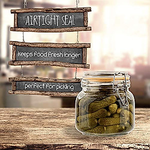 Glass Jars with Airtight Lid | Glass Airtight Food Storage Containers | Clear Leak Proof Rubber Gasket and Clamp Lid [Set of 4-25 oz]