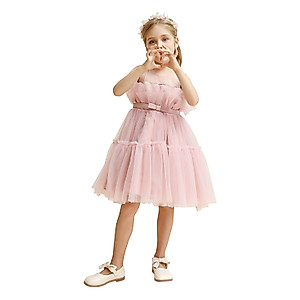 Nileafes Toddler Formal Dress Tulle Fluffy Dresses Baby Girls Princess Dress Size90 (1-2 Years,766 Pink-N)