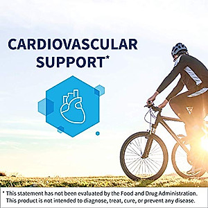 Klaire Labs L-Carnitine Tartrate - 500 mg Amino Acid, Stabilized L-Carnitine - No Synthetic D-Carnitine (60 Capsules)