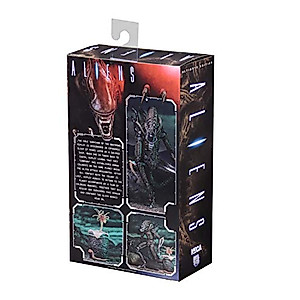 NECA - Alien- 7" Scale Action Figures - Ultimate Warrior - (1986) Brown Alien
