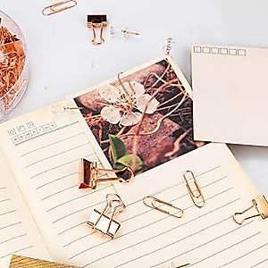 Push Pins Binder Clips Paperclips Sets for Office, School and Home Supplies, Desk Organized, 72 Pcs Assorted Sizes (Rose Gold)