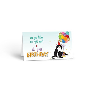 Stonehouse Collections | Happy Birthday Cat Table Tent Cards | Cat Lover Name Cards | Multi-Purpose, Table Decorations for Birthday Party | 25 Count (Tuxedo Cat Birthday)