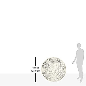 SAFAVIEH Adirondack Collection Area Rug - 4' Round, Ivory & Silver, Oriental Distressed Design, Non-Shedding & Easy Care, Ideal for High Traffic Areas in Living Room, Bedroom (ADR109C), 1.0" Thickness