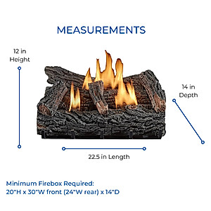 Duluth Forge 22" Ventless Dual Fuel Gas Log Set - 32,000 BTU, Thermostat Control, Natural Gas/Propane, Hand-Painted Winter Oak, Realistic Ceramic Logs, Oxygen Depletion Sensor, 99.9% Efficient