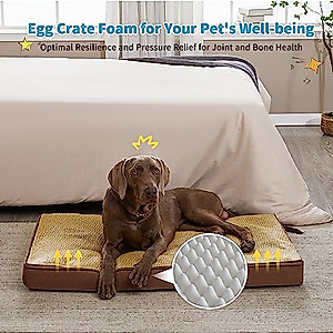 Made4Pets Dog Beds for Medium Dogs, Egg Memory Foam Large Dog Bed with Removable Cover, Pet Bed Mattress for Large Cats, Washable Plush and Cool Cover, 34 x 25 Brown