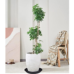 5 Packs Plant Saucer Pot Tray 6 8 10 12 14 16 19 20 Inch Plastic Flower Planter Saucers and Drip Trays for Indoors Outdoors, Thick Heavy Sturdy Durable Plant Plate Water Catcher (14 Inch Black)