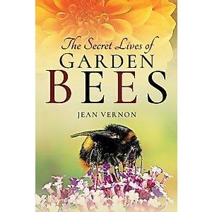 The Secret Lives of Garden Bees