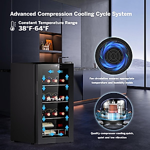 26 Bottles and 130 Cans Wine Cooler Cabinet & Beverage Refrigerator - Independent or Embedded Wine Cellar with Transparent Glass Door Design and Silent Compressor for Temperature Adjustment